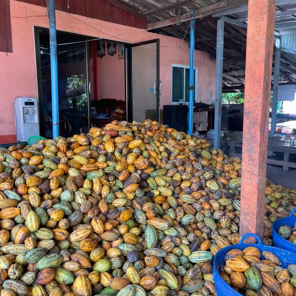 Single Origin Bars — Store — Lemuel Chocolate