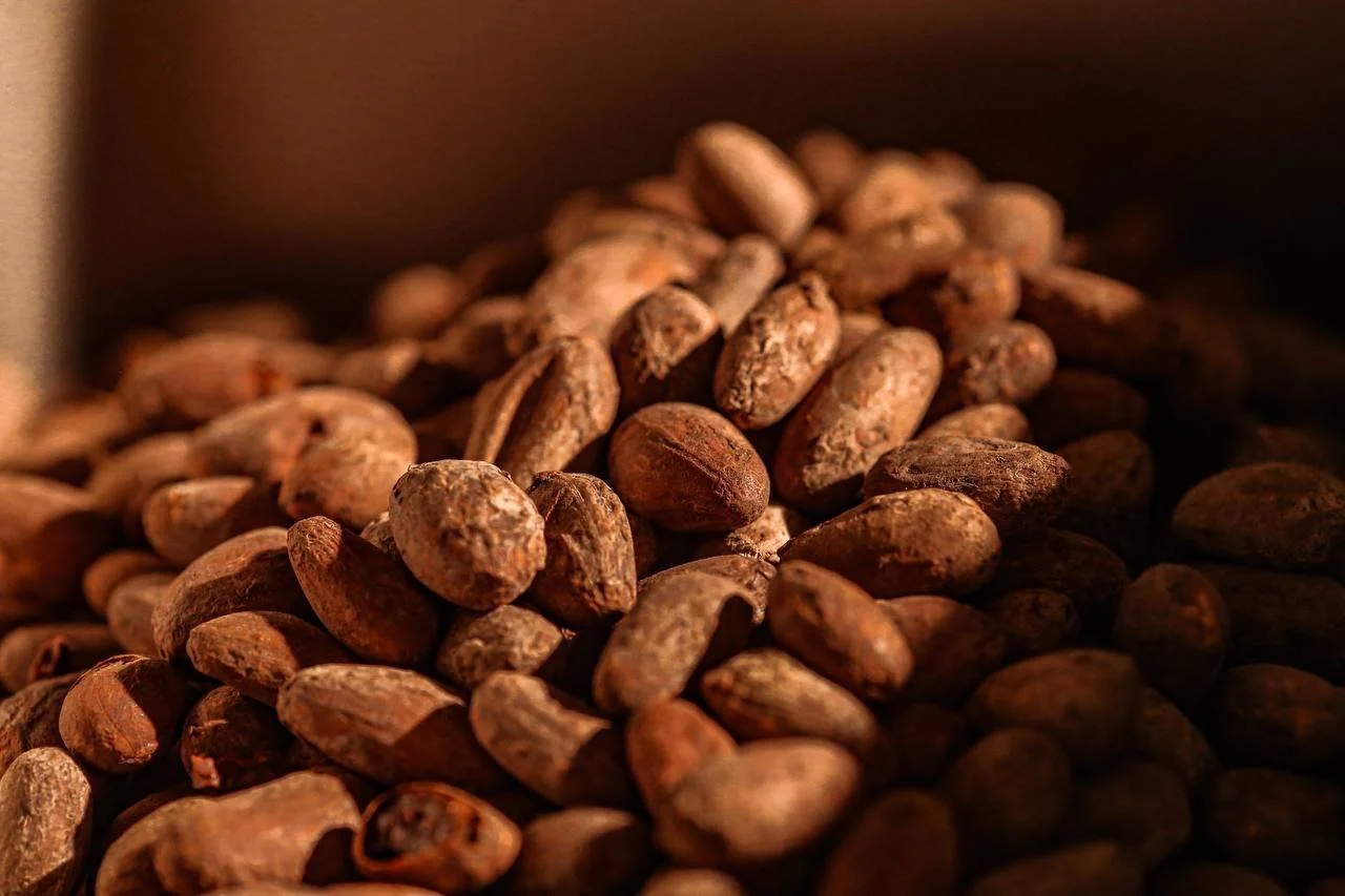 Our Story | Discover Artisanal Chocolate Today — Lemuel Chocolate