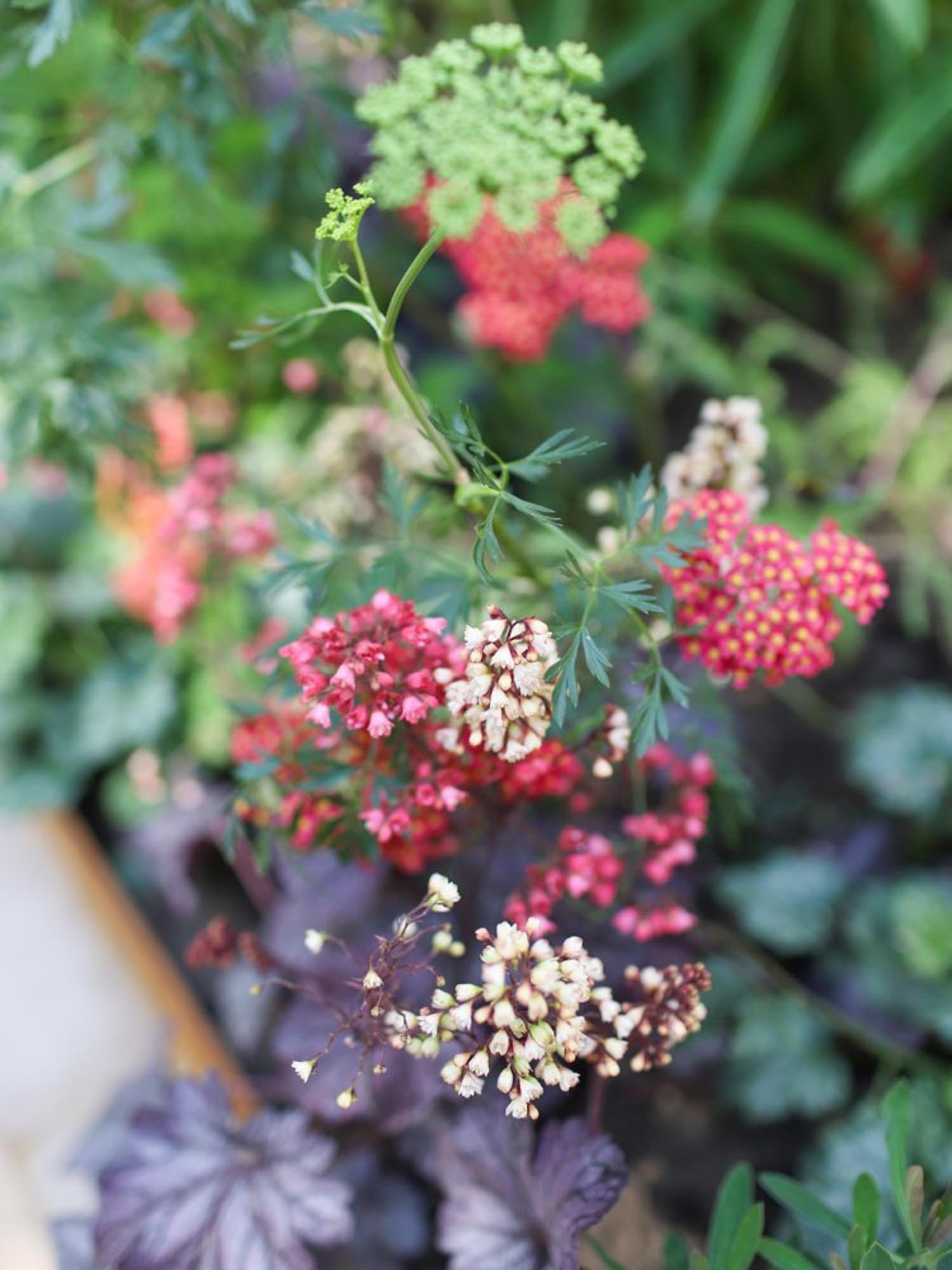 How to maximise space in a small garden | Studio Fitzpatrick How to maximise space in a small garden | Studio Fitzpatrick
