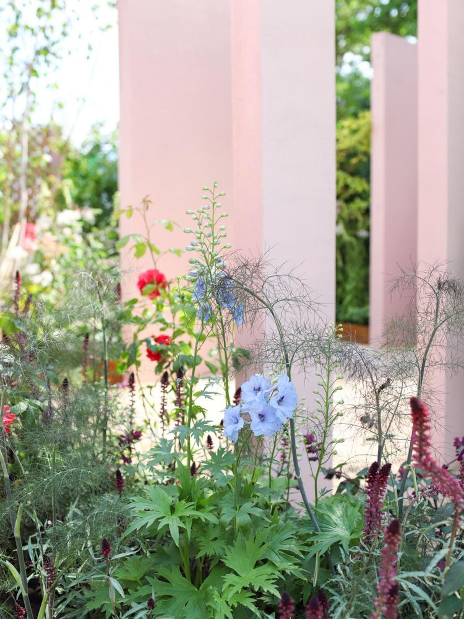 How to maximise space in a small garden | Studio Fitzpatrick How to maximise space in a small garden | Studio Fitzpatrick