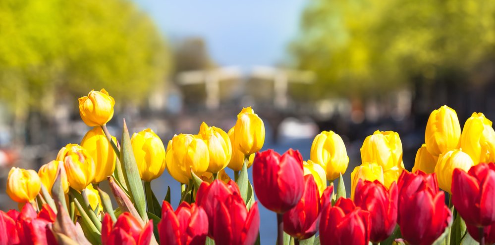 6 Reasons Why Spring Is The Best Time To Visit Europe — Blog