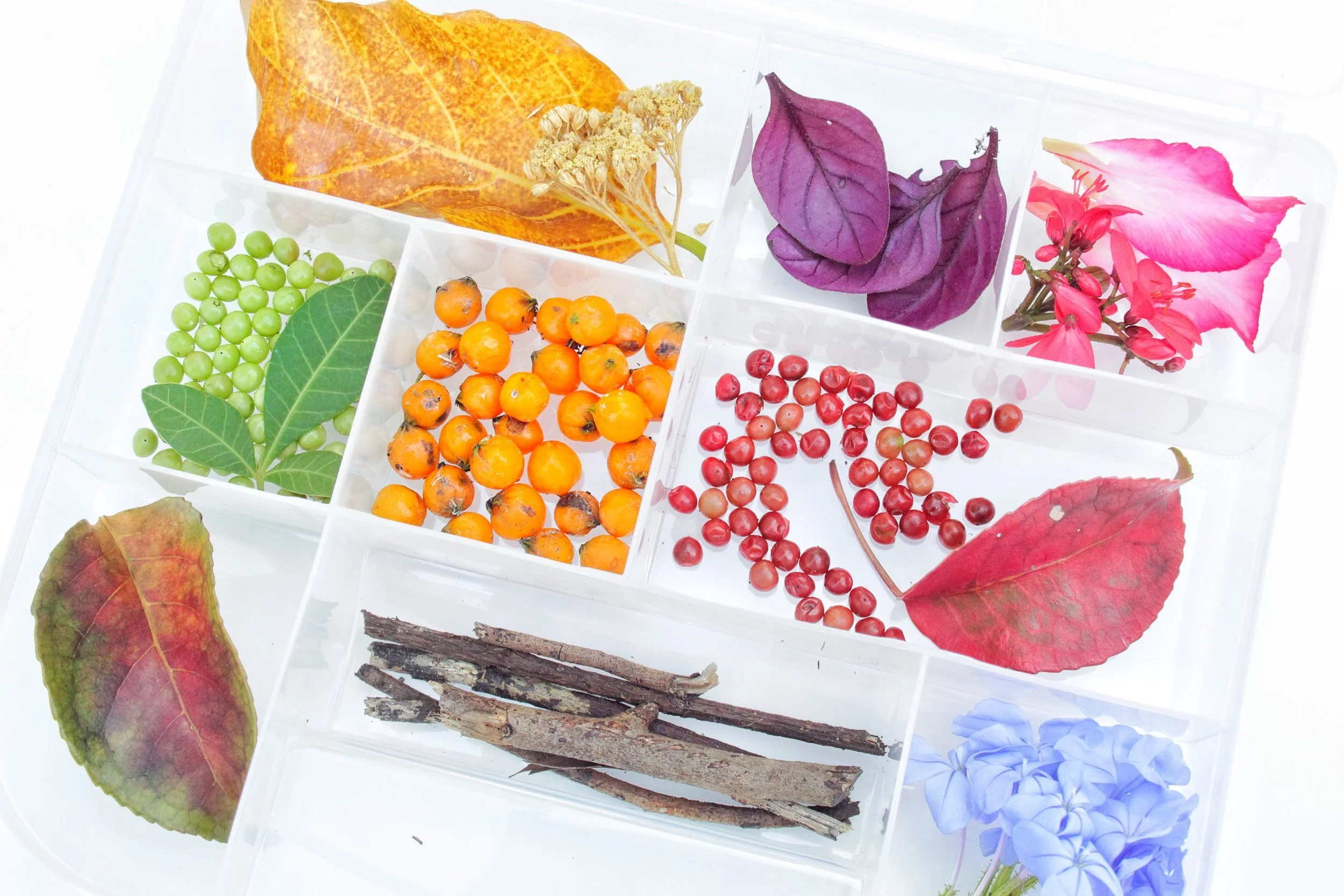 Nature Boxes to Inspire Outdoor Play + Sensory Exploration — The ...