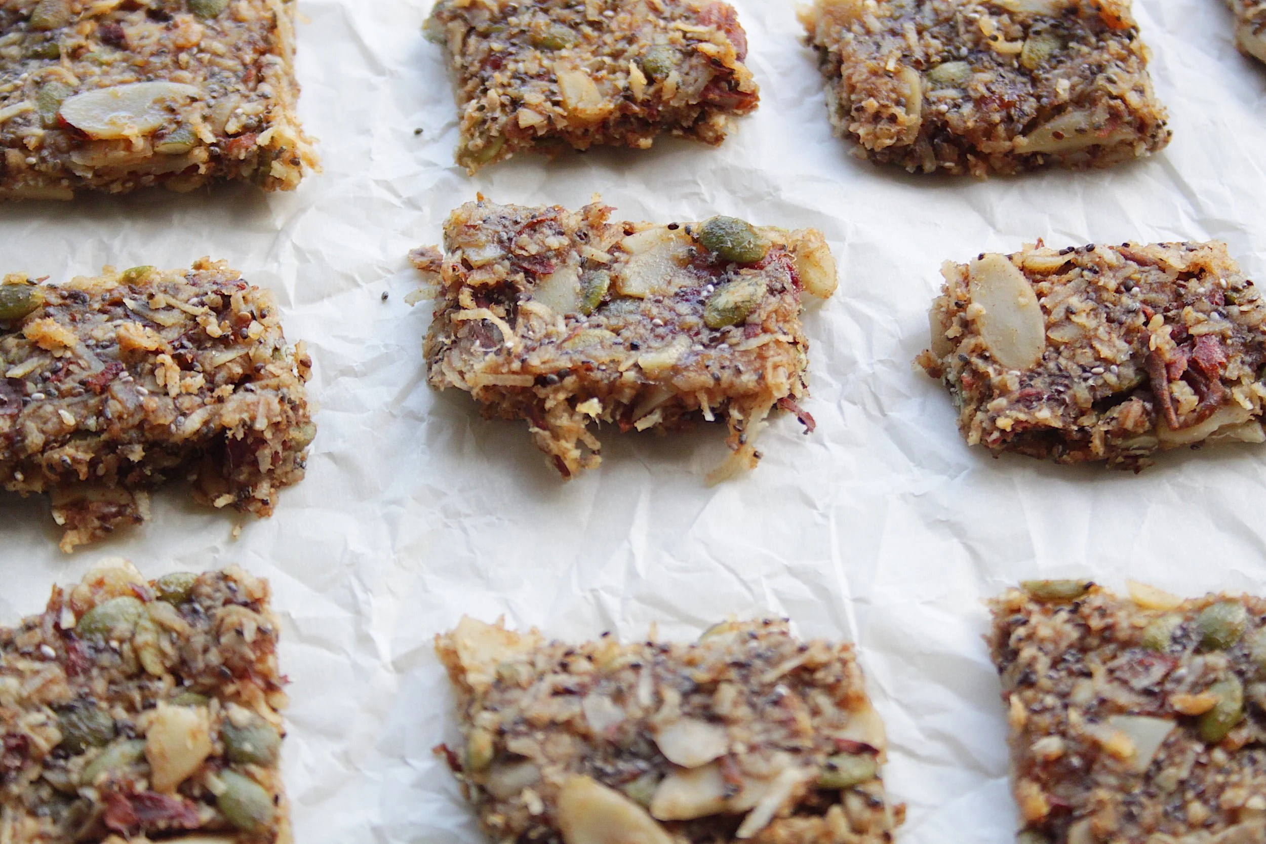 Good Fats Chewy Granola Bars (kid-approved, gluten-free, paleo, vegan ...