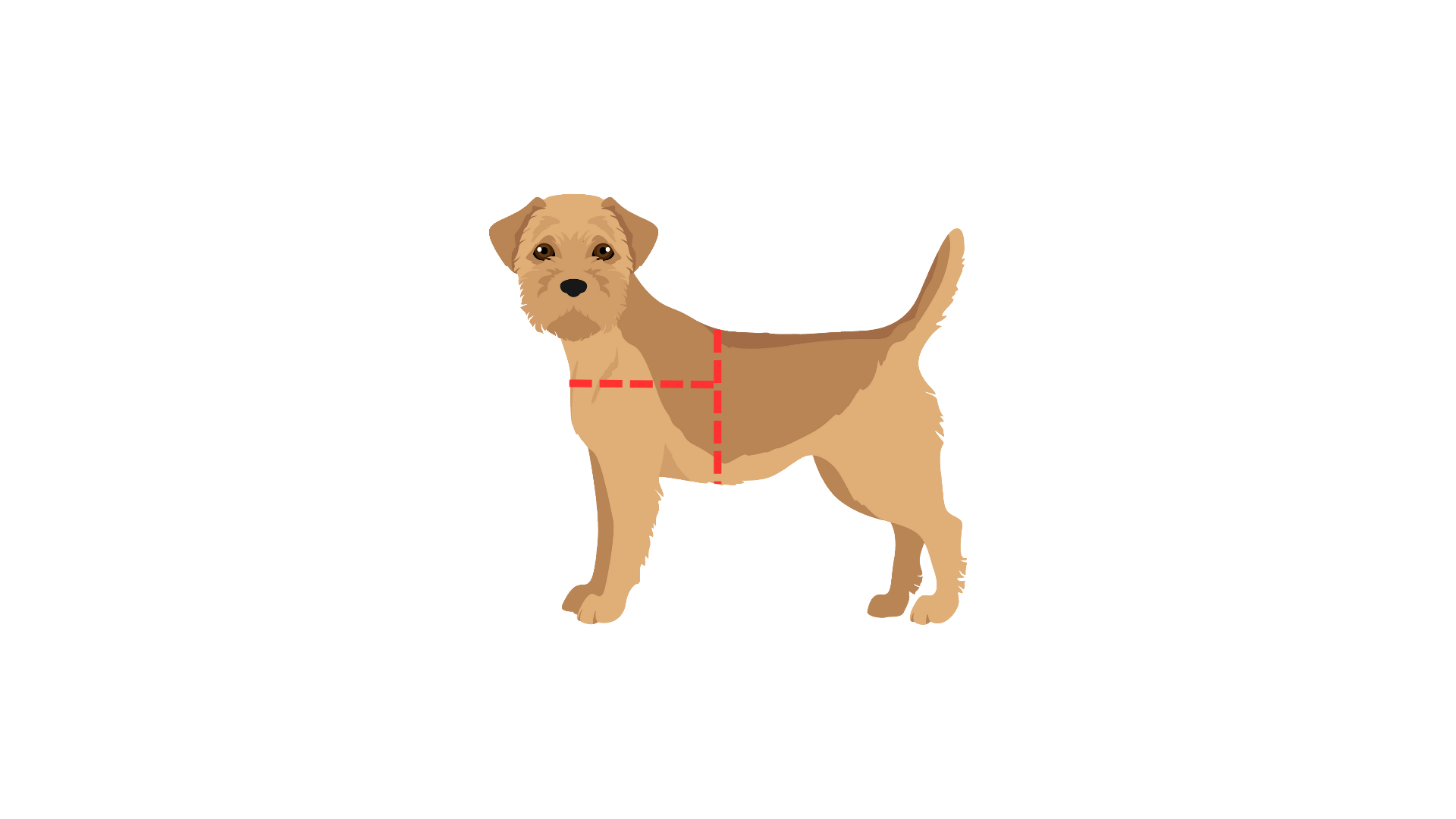 Choosing your mantrailing harness — TAFF TRAILERS