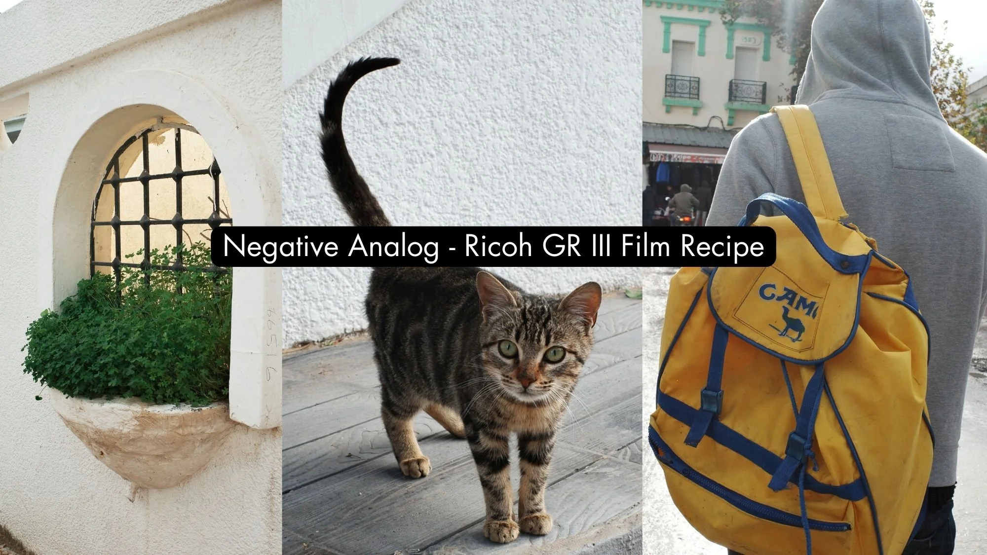 Analog Negative - Film Recipe for Ricoh GR III and GR IIIx — Luke ...
