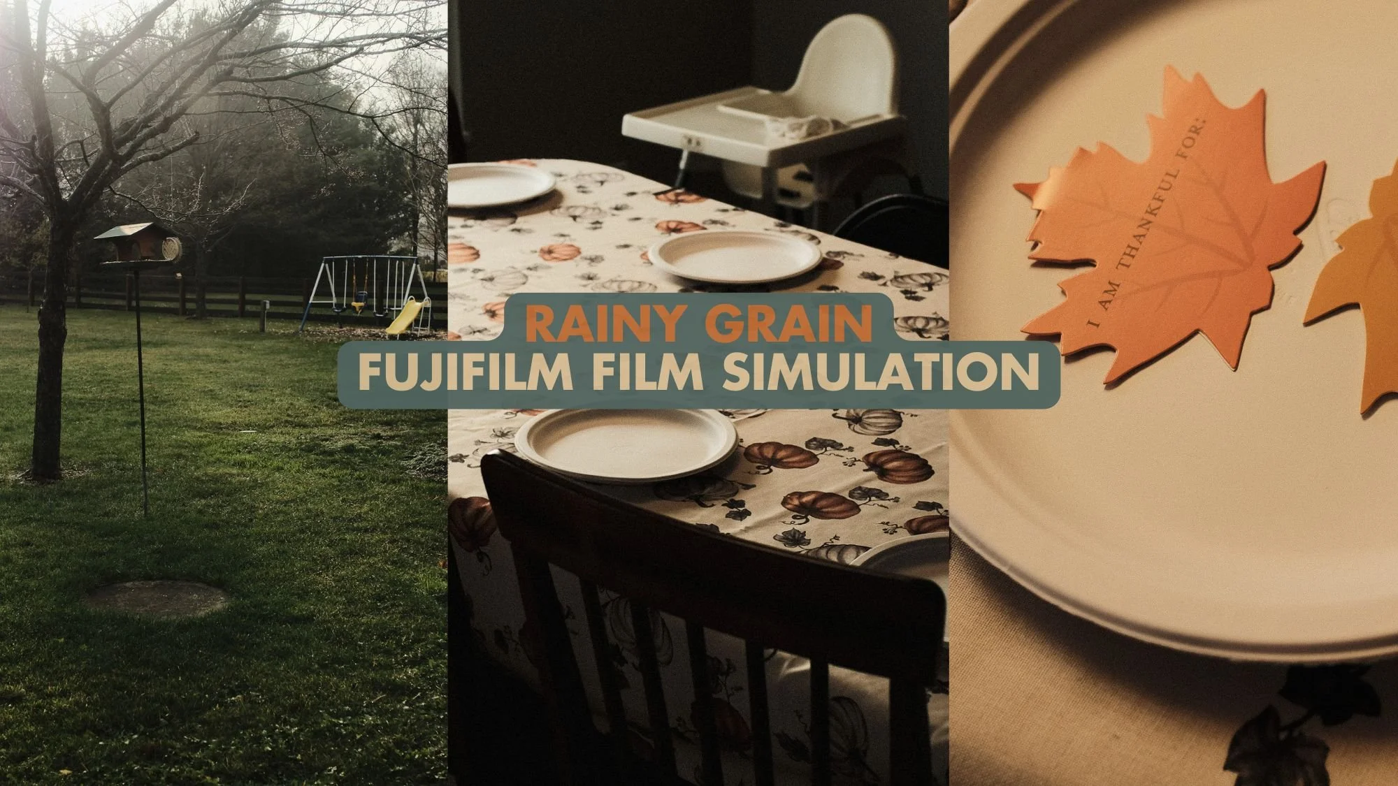Rainy Grain - Film Recipe for Fujifilm Cameras — Luke Taylor - Photography