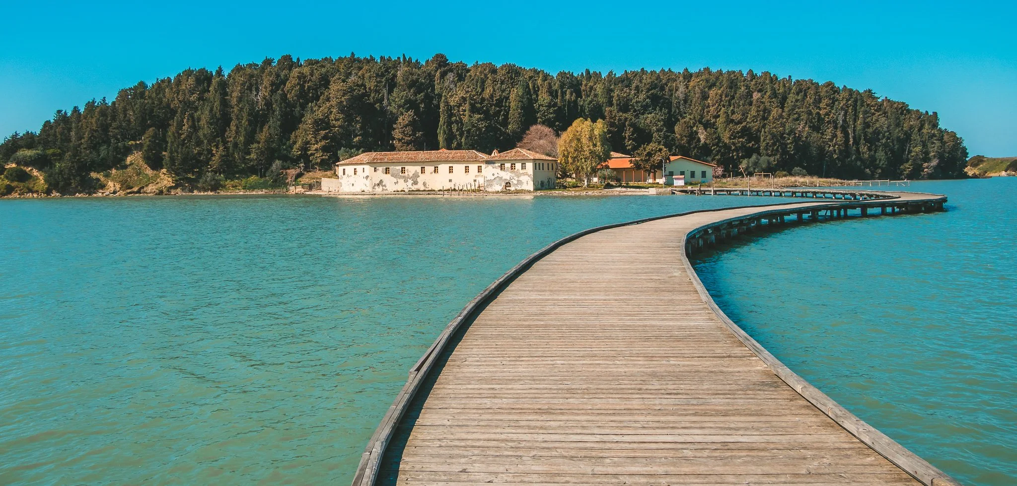 ColorMax Film - Free Lightroom Preset — Luke Taylor - Photography