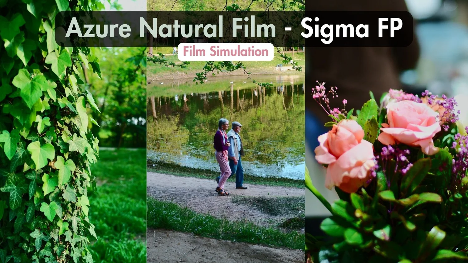 Azure Natural Film - Film Simulation for Sigma FP — Luke Taylor ...
