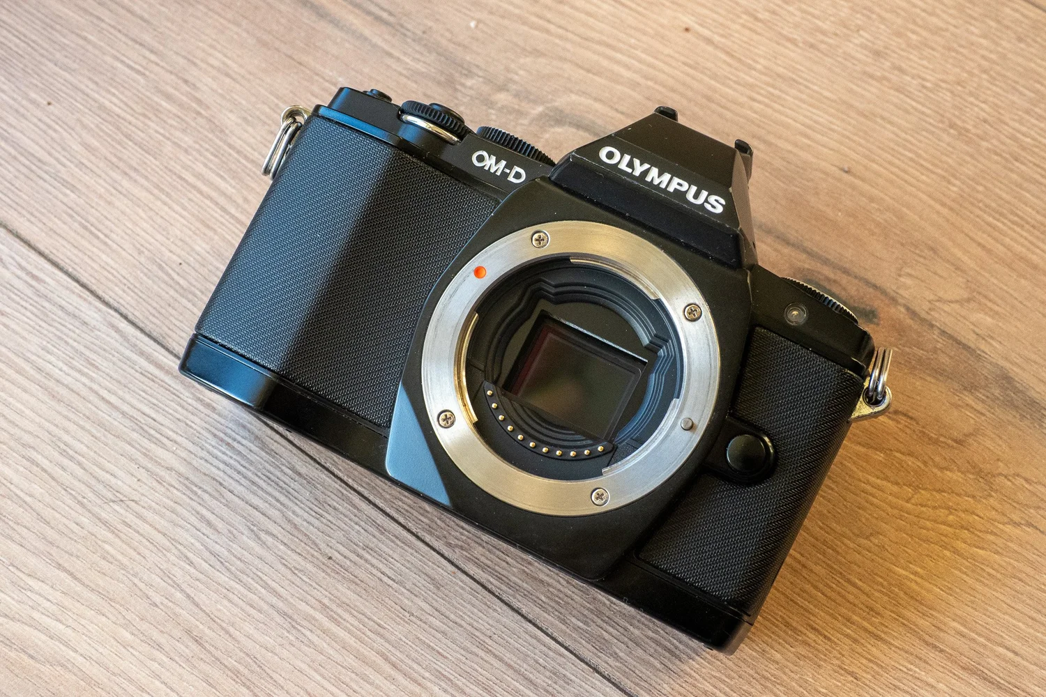 Review: Olympus E-m5 mark i - The Original Mirrorless Camera — Luke ...