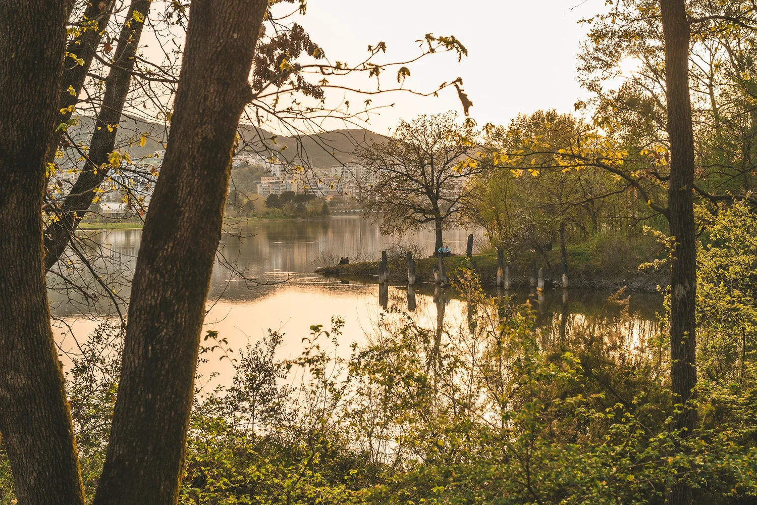 ColorMax Film - Free Lightroom Preset — Luke Taylor - Photography