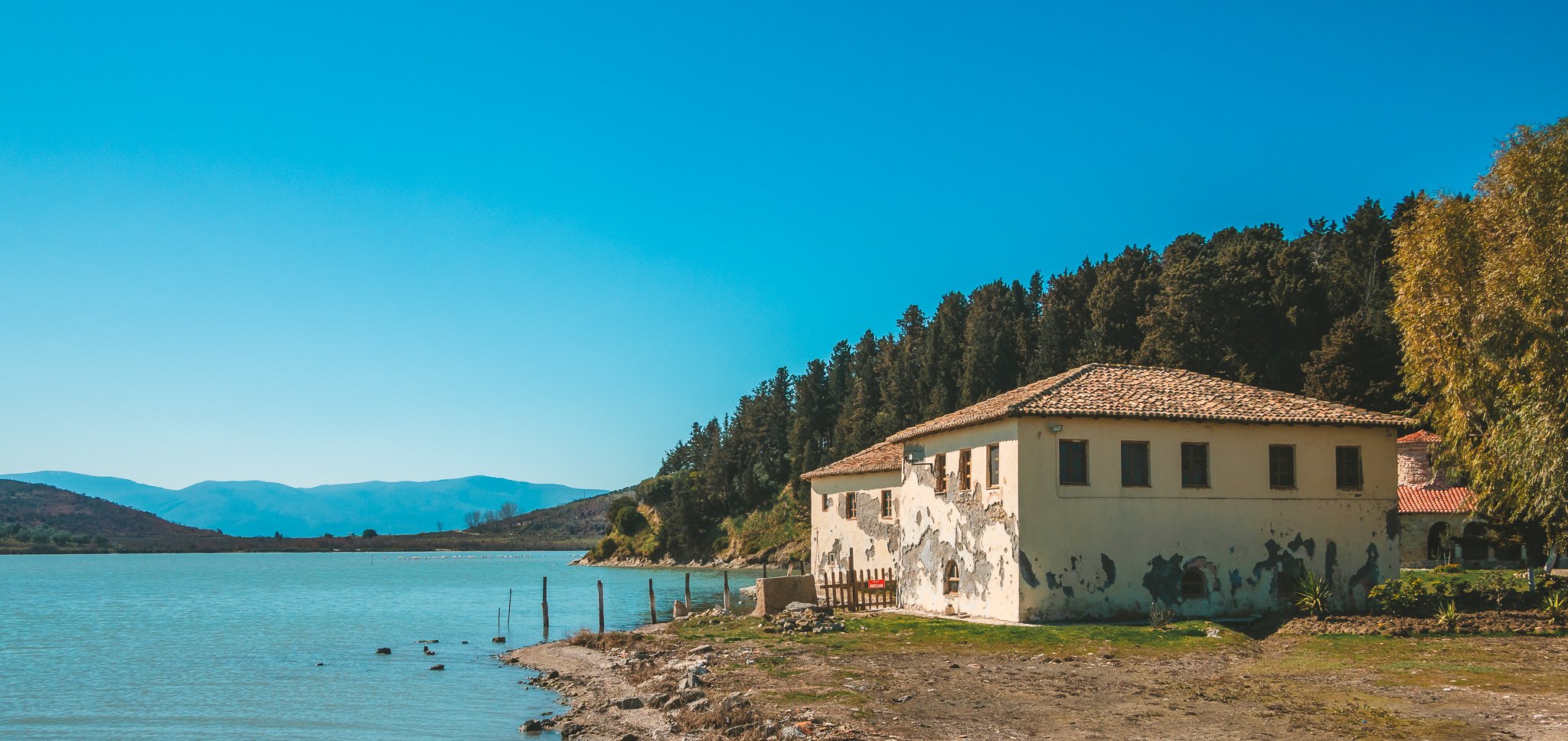 ColorMax Film - Free Lightroom Preset — Luke Taylor - Photography