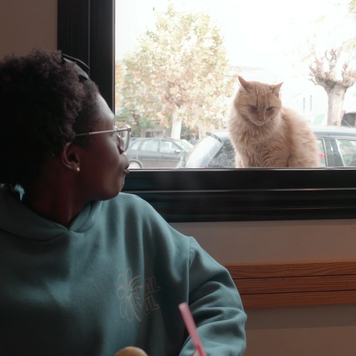 Kodak Magenta Chrome - Film Simulation for Ricoh GR III and GR IIIx ...