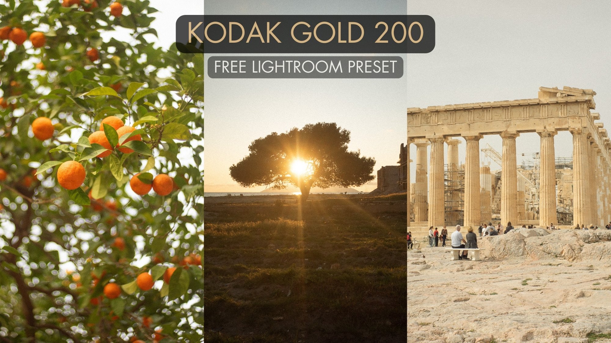 Kodak Gold 200 - Free Preset — Luke Taylor - Photography