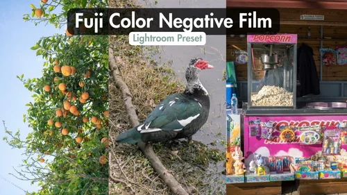 Fuji Color Negative Film- Preset for Lightroom — Luke Taylor - Photography