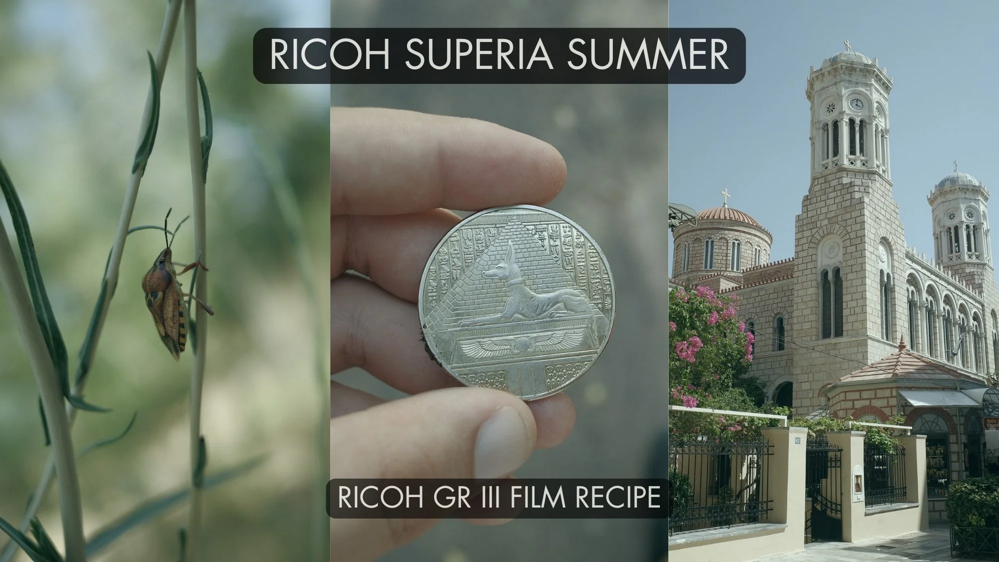 Ricoh Superia Summer - Film Recipe for Ricoh GR III and GR IIIx — Luke ...