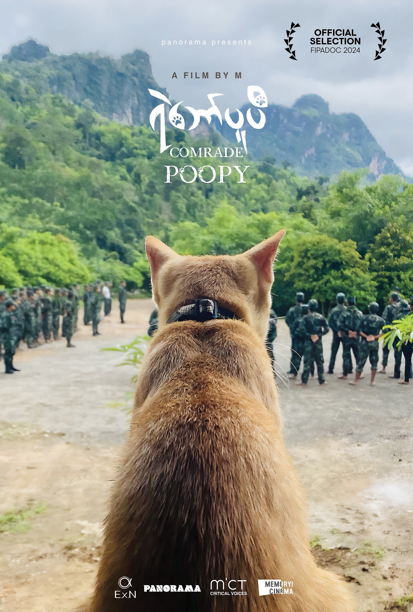films — panorama