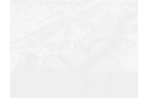 Tree Staple | Stake Alternative Root-ball Stabilization for Planting Trees