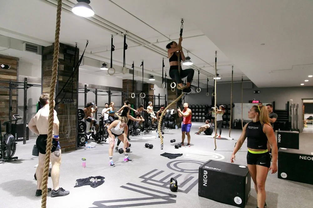 Neou Fitness — DANIEL O’CONNOR ARCHITECTS