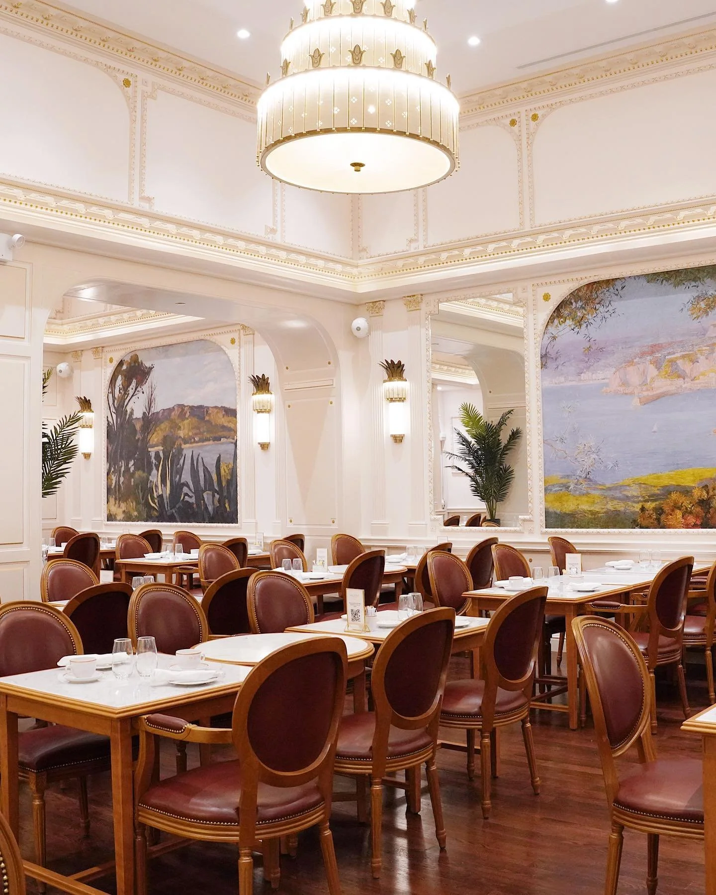 Cafe Angelina Paris — DANIEL O’CONNOR ARCHITECTS