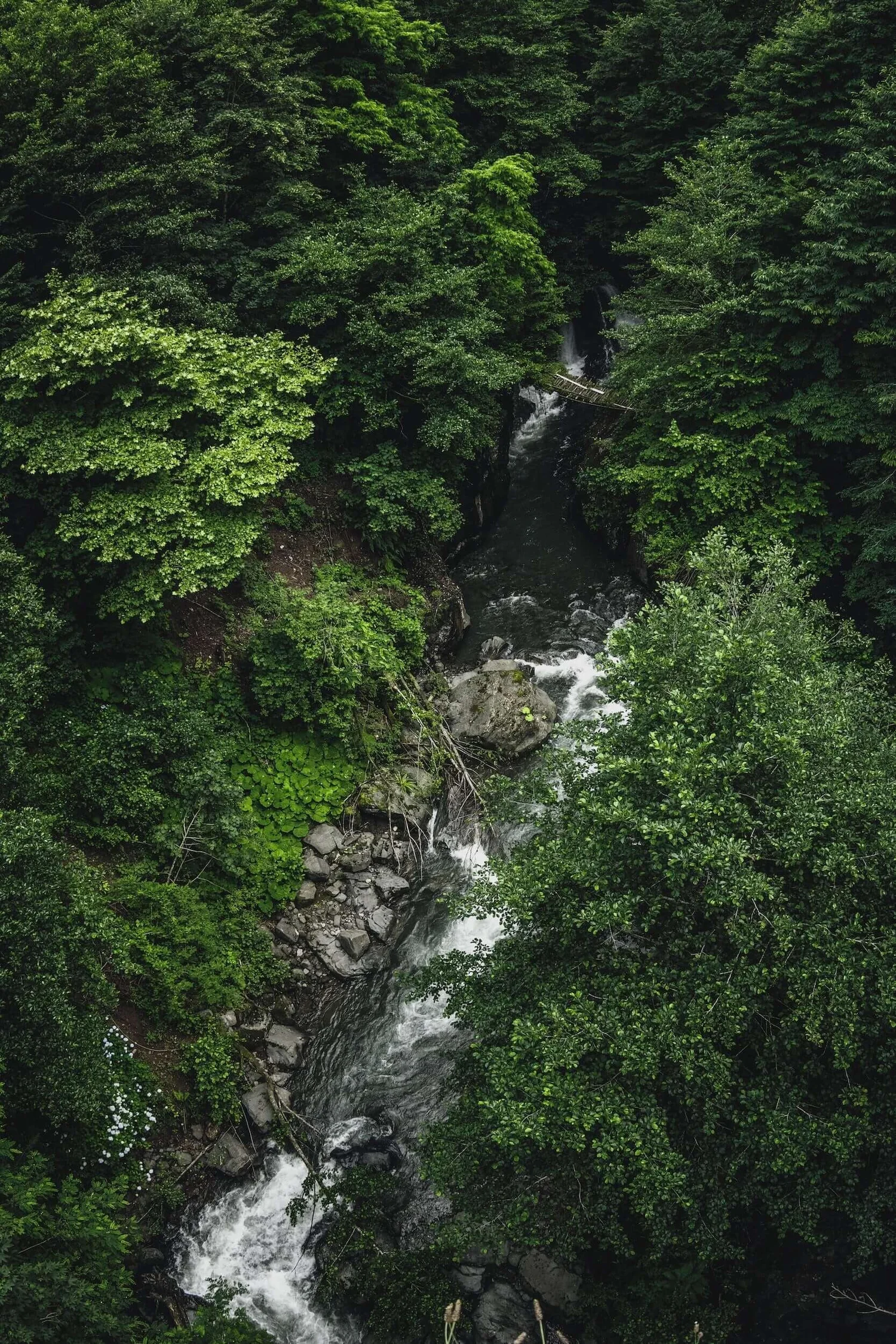 Netflix Sustainability Page | Act to Reduce Emissions — Footprint ...
