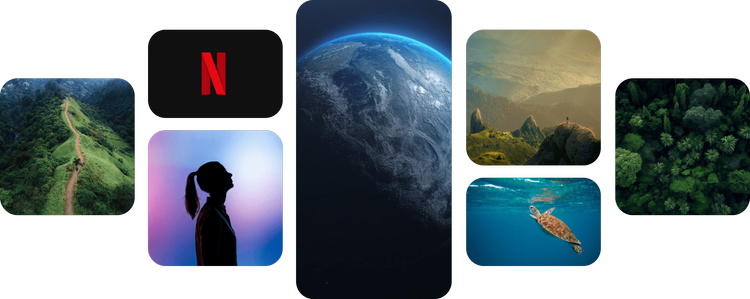 Netflix Sustainability Page | Act to Reduce Emissions — Footprint ...