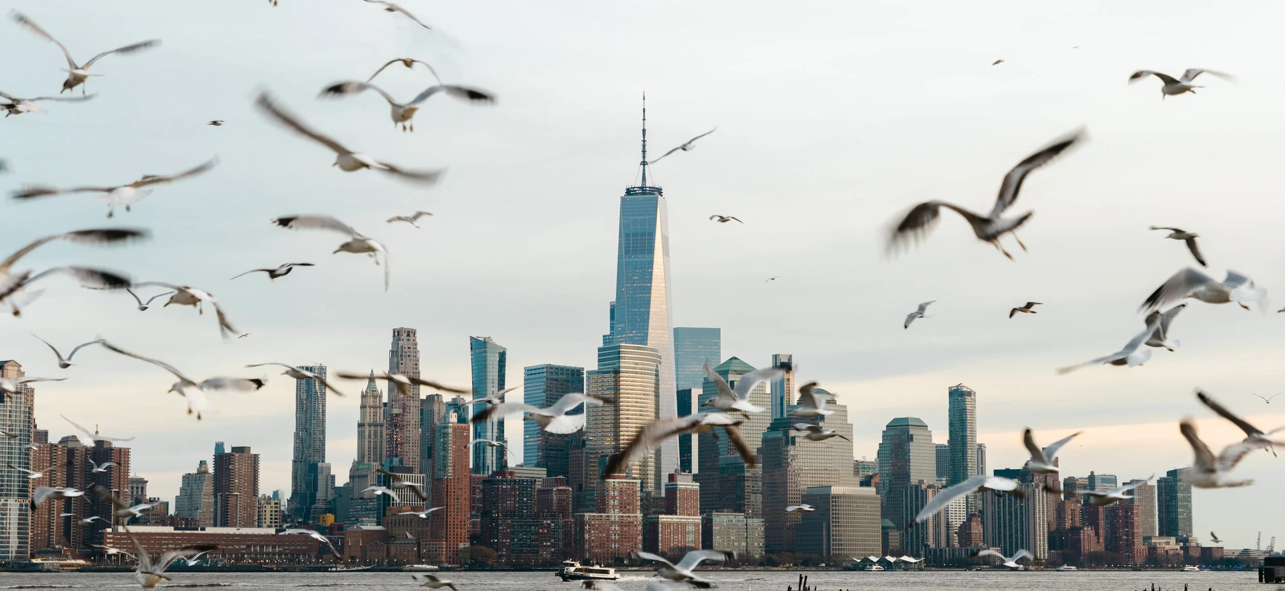 Dominic O'Connor | Photographer & Videographer | Portfolio
