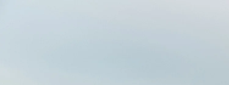 Wear It Well — Allison Bornstein