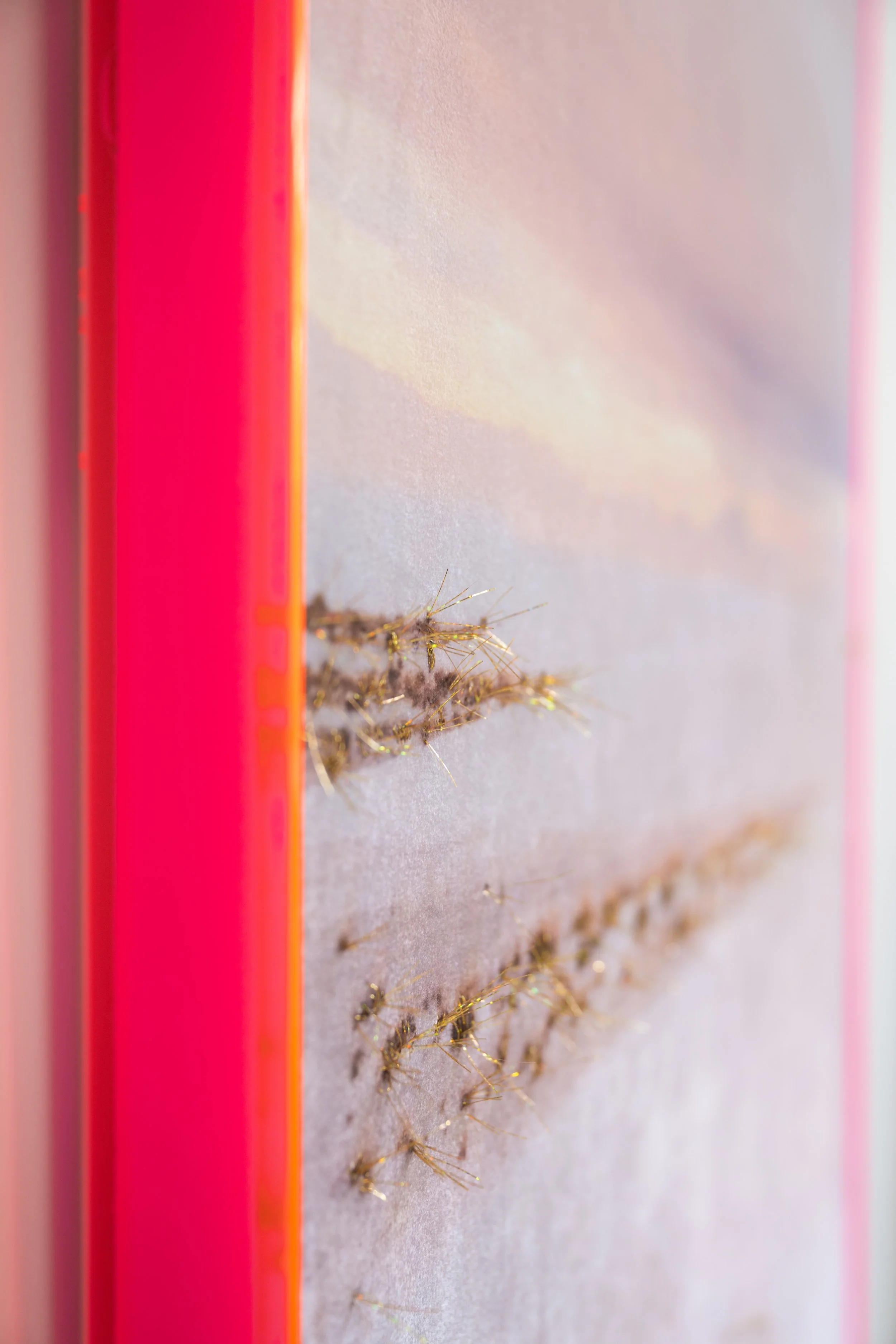Nicole Corbett | Artist