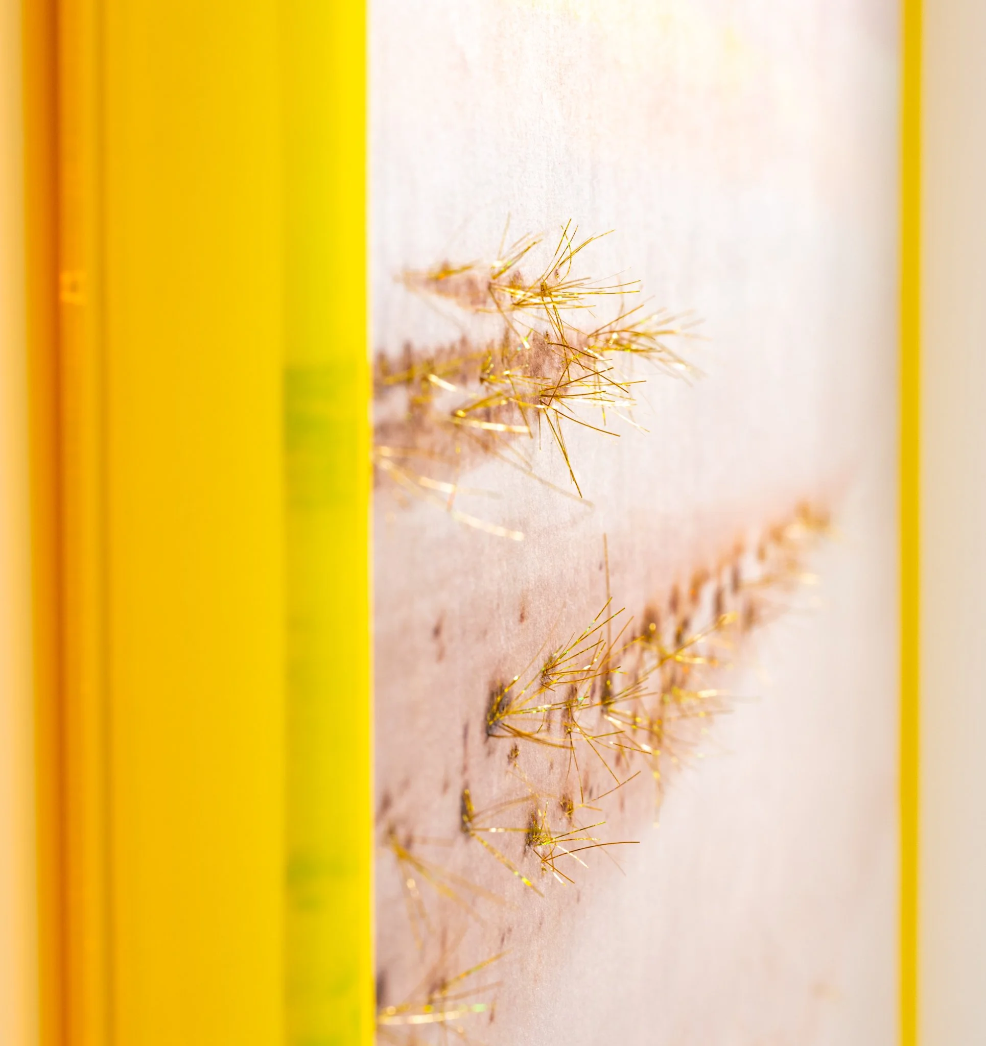 Nicole Corbett | Artist