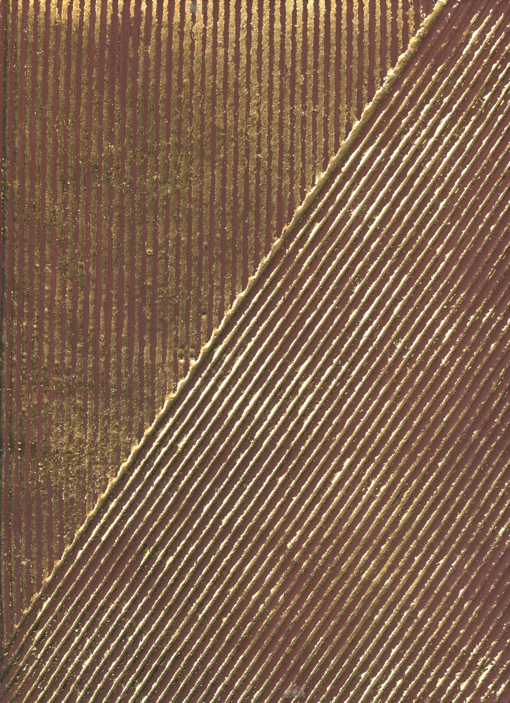 Phlume — Callidus Guild