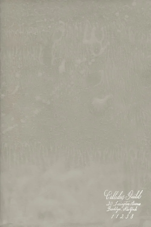 GREYS — Callidus Guild