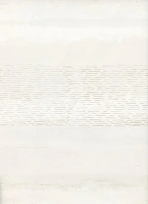 Soft Linear — Callidus Guild