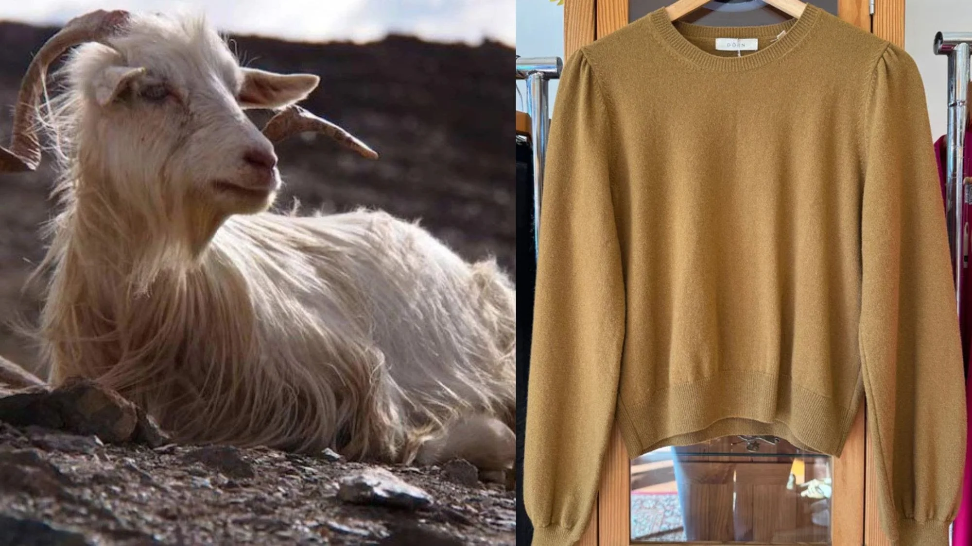 Top 5 *LUXE* Animal Fibres To Keep You Warm This Winter! — The Neon ...