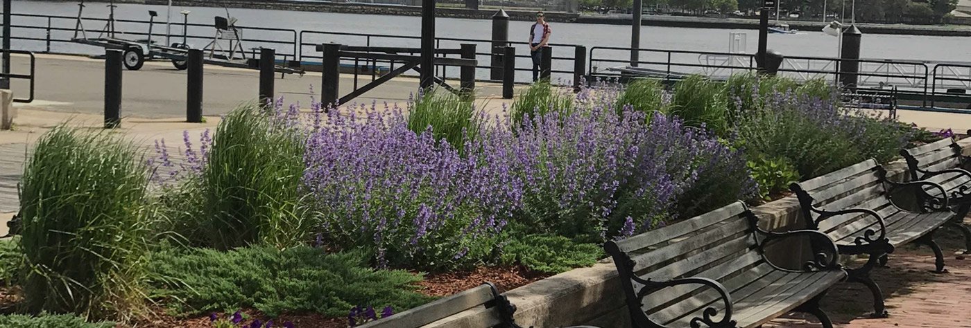 Navy Yard Garden and Art