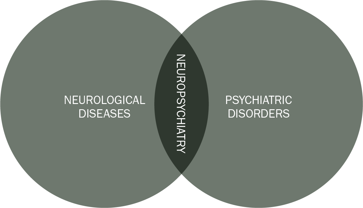 About Neuropsychiatry — Professor Mark Walterfang — Neuropsychiatrist ...