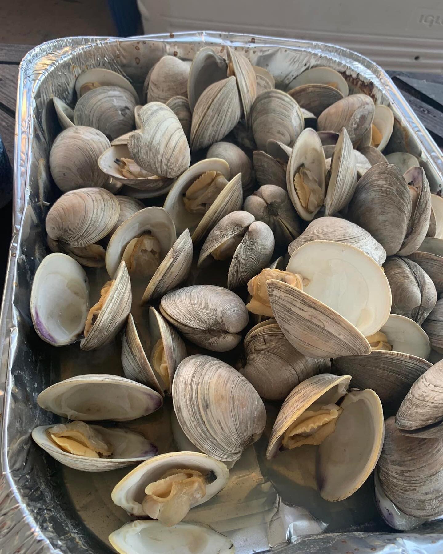 Clam Daddy's