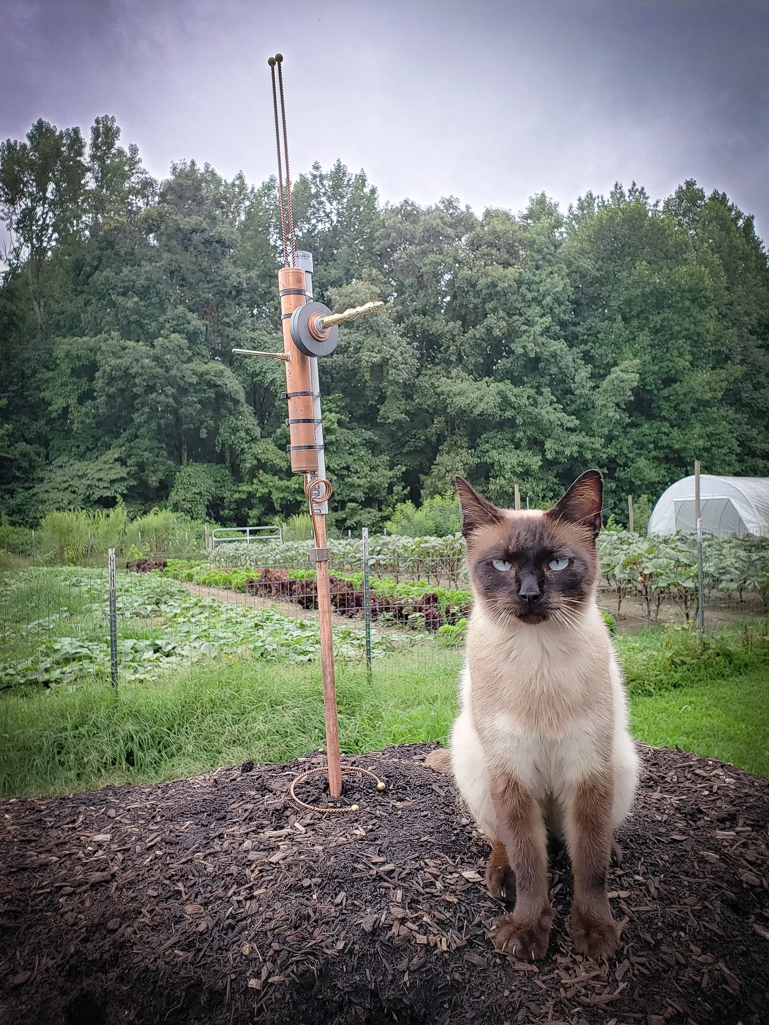 DEVICES — The Fertile Current