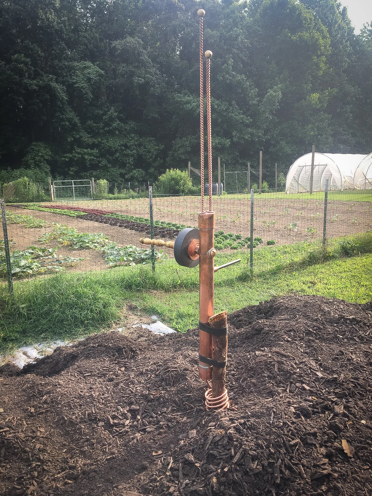 DEVICES — The Fertile Current