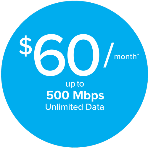 Telmax - Fibre Internet | Phone | TV