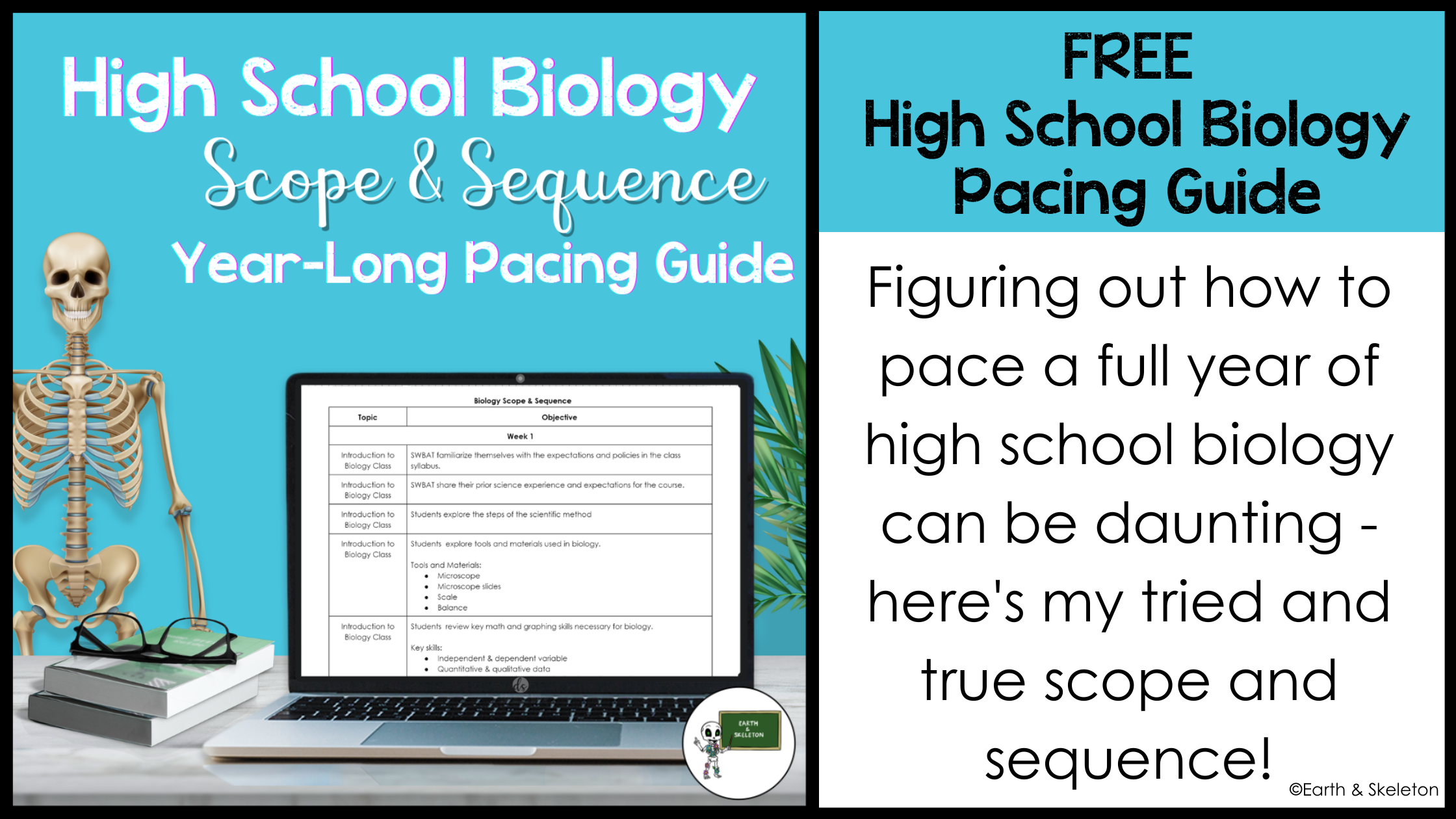 High School Biology Curriculum Map: A Free Scope & Sequence to Plan ...
