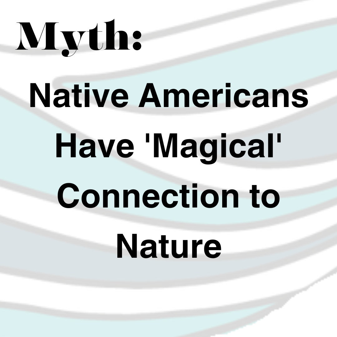 Indigenous Ally — Urban Native Collective