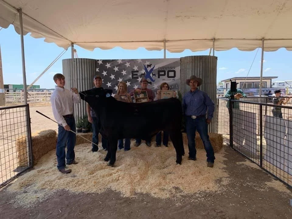 Livestock — Bar X Bar Beef