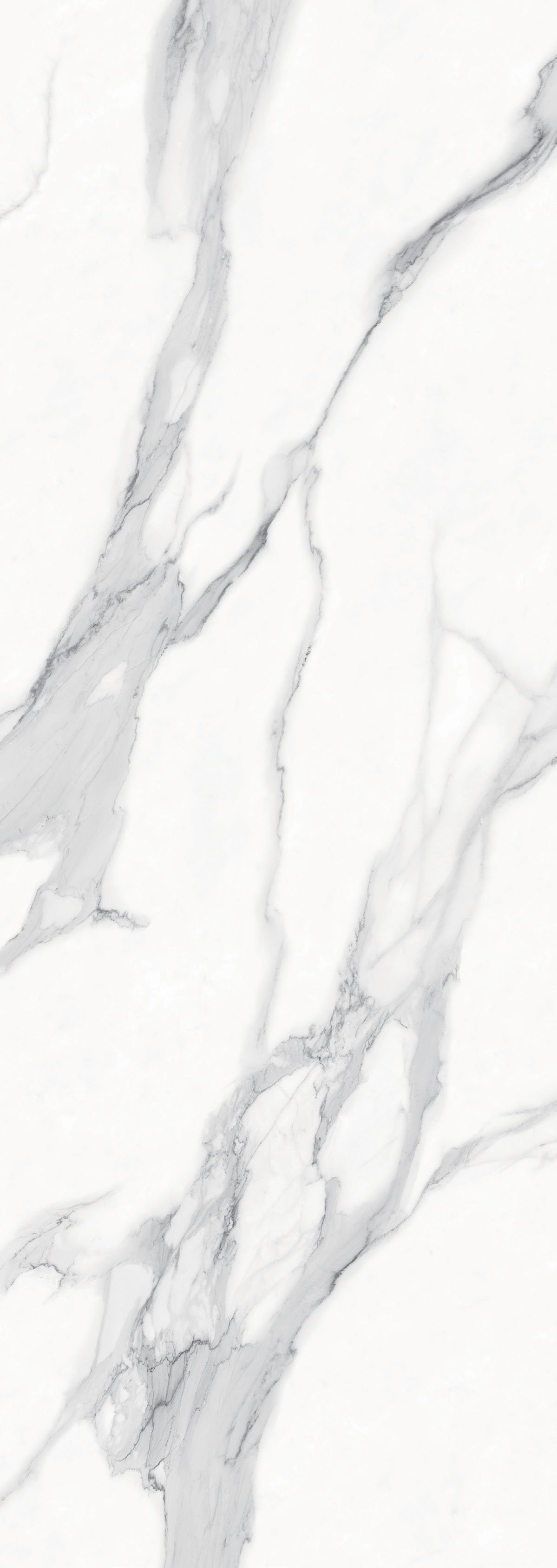 Rosa White-M1028 — Pandora Porcelain and Quartz