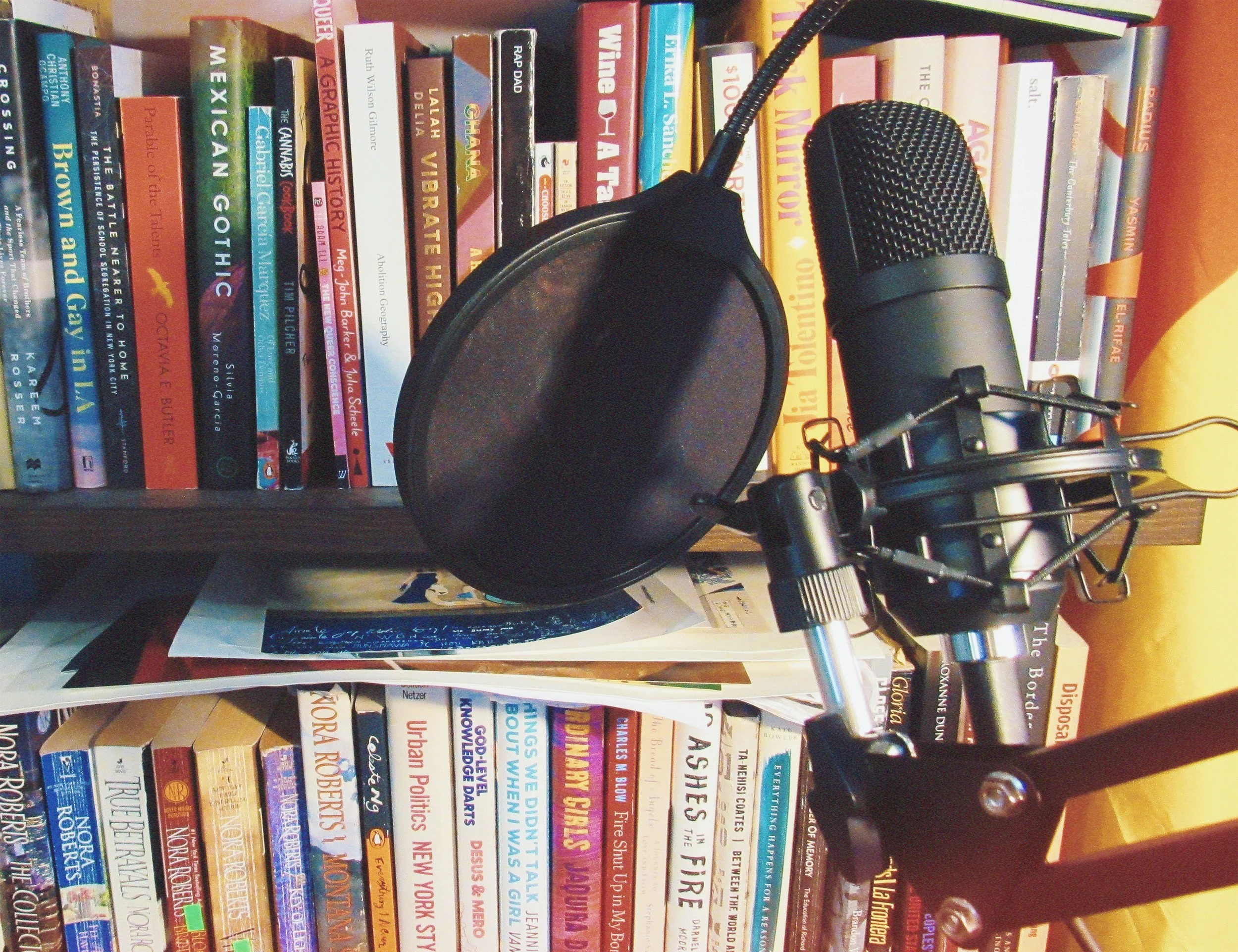 Coming Soon: The Religion in Revolt Podcast — RELIGION IN REVOLT