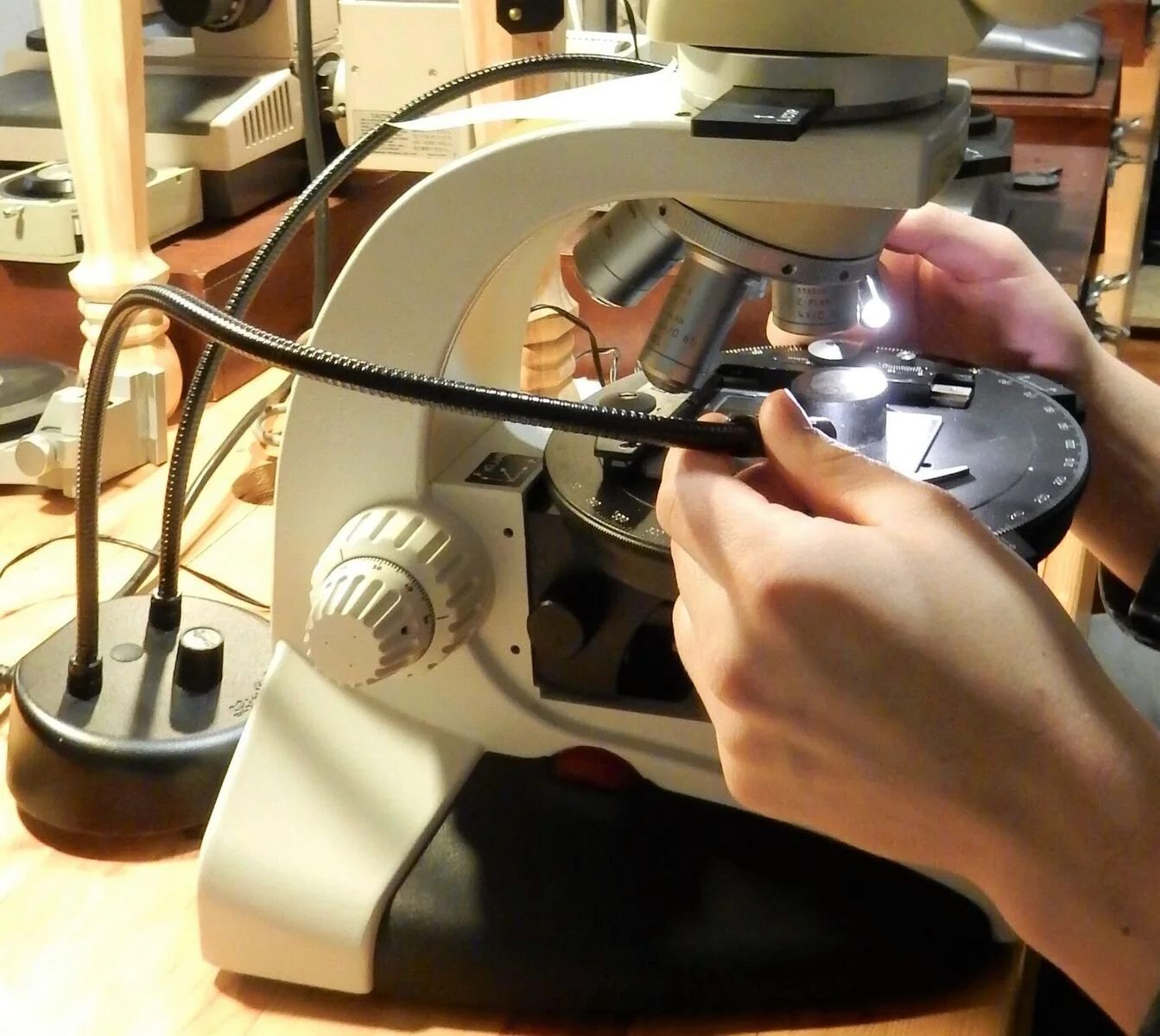 The Anser Dual Light was Designed for Professionals — Littlite