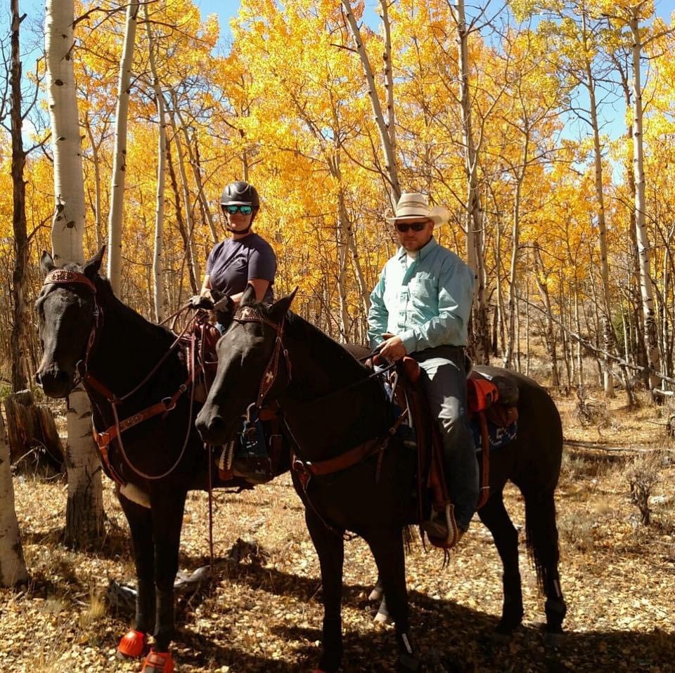 Boarding Facilities — Weston Valley Ranch