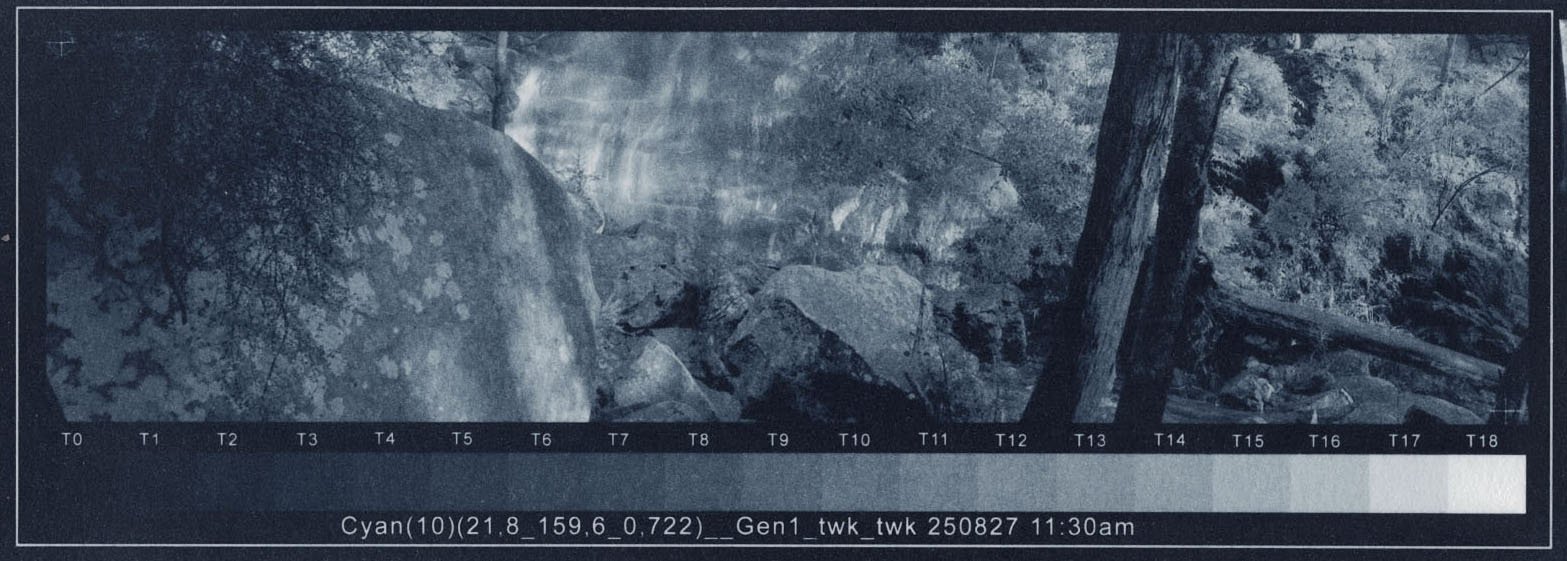 Tweaking the Digital Negative — TruNeg Authentic Digital Negatives.