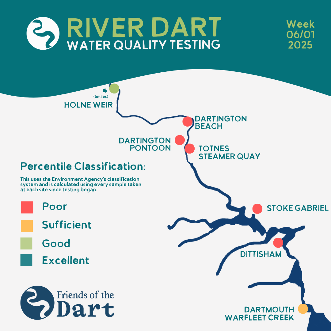 River Dart Water Quality Testing — Friends of the Dart