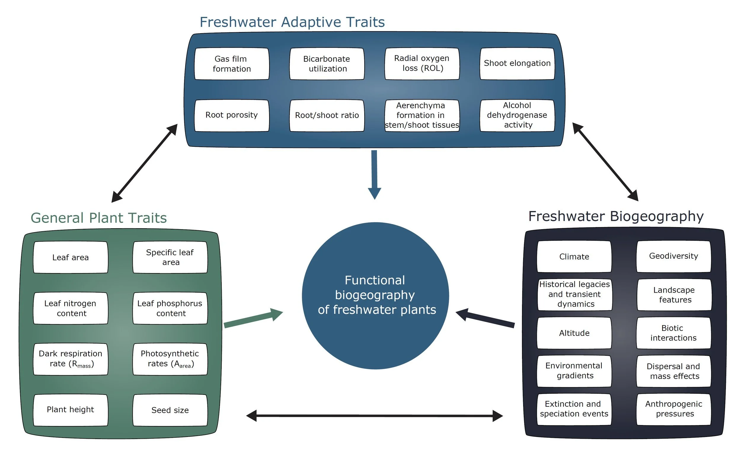 About — THE MACROECOLOGY OF AQUATIC PLANT FUNCTIONS