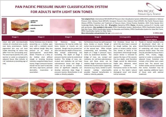 PPPIA Resources — Pan Pacific Pressure Injury Alliance